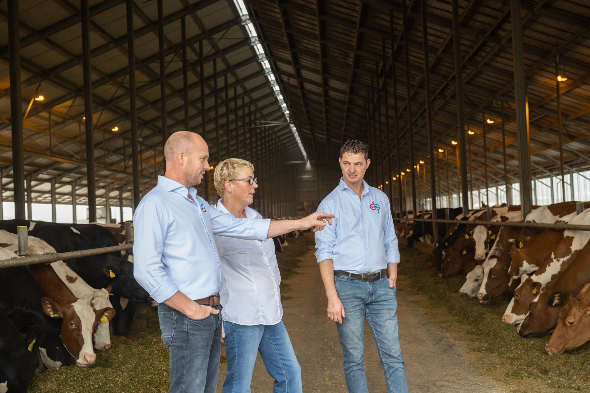 40 YEARS OF KI SAMEN ‘PROVEN PRACTICAL BREEDING’