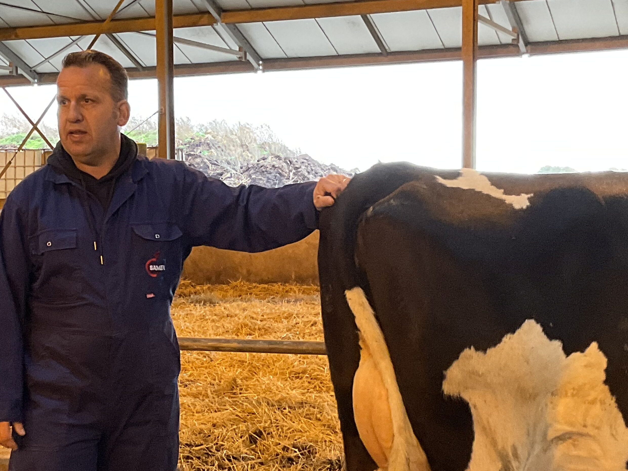 aAa-method: Improving the next generation of cows