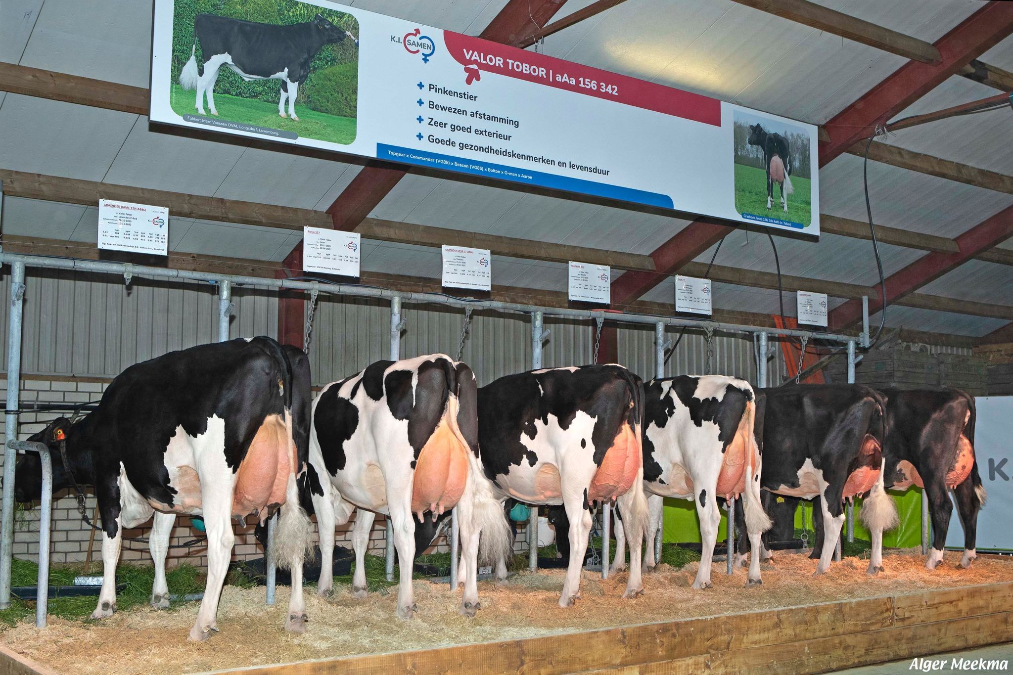 Homepage | K.I. Samen