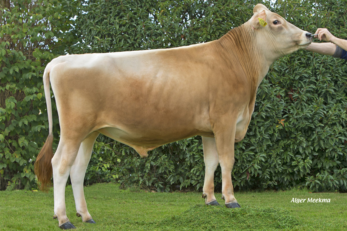 Jersey in the spotlight: Collin