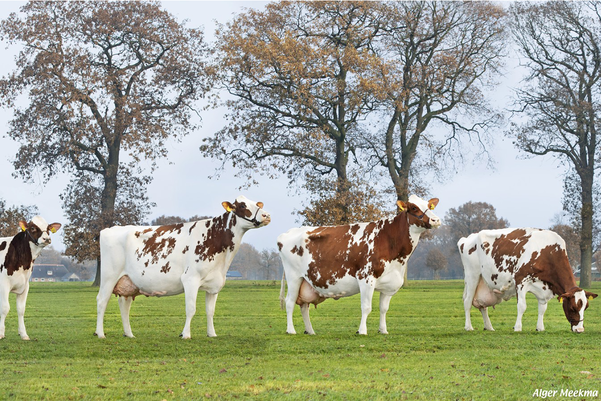 A balanced farm: Practical approach delivers higher profits and more ...