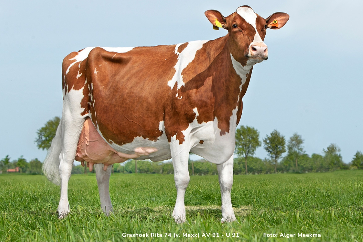 Practical breeding works!