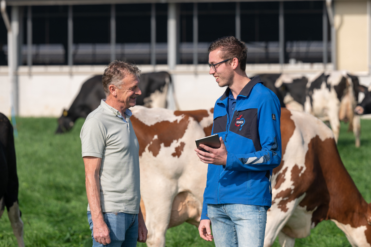 Offre d'emploi Conseiller technique en élevage bovin (Province de Hainaut) | K.I. Samen